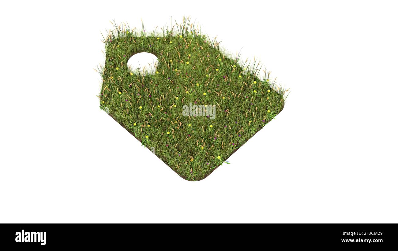 3d rendered grass field with colorful flowers in shape of symbol of ...