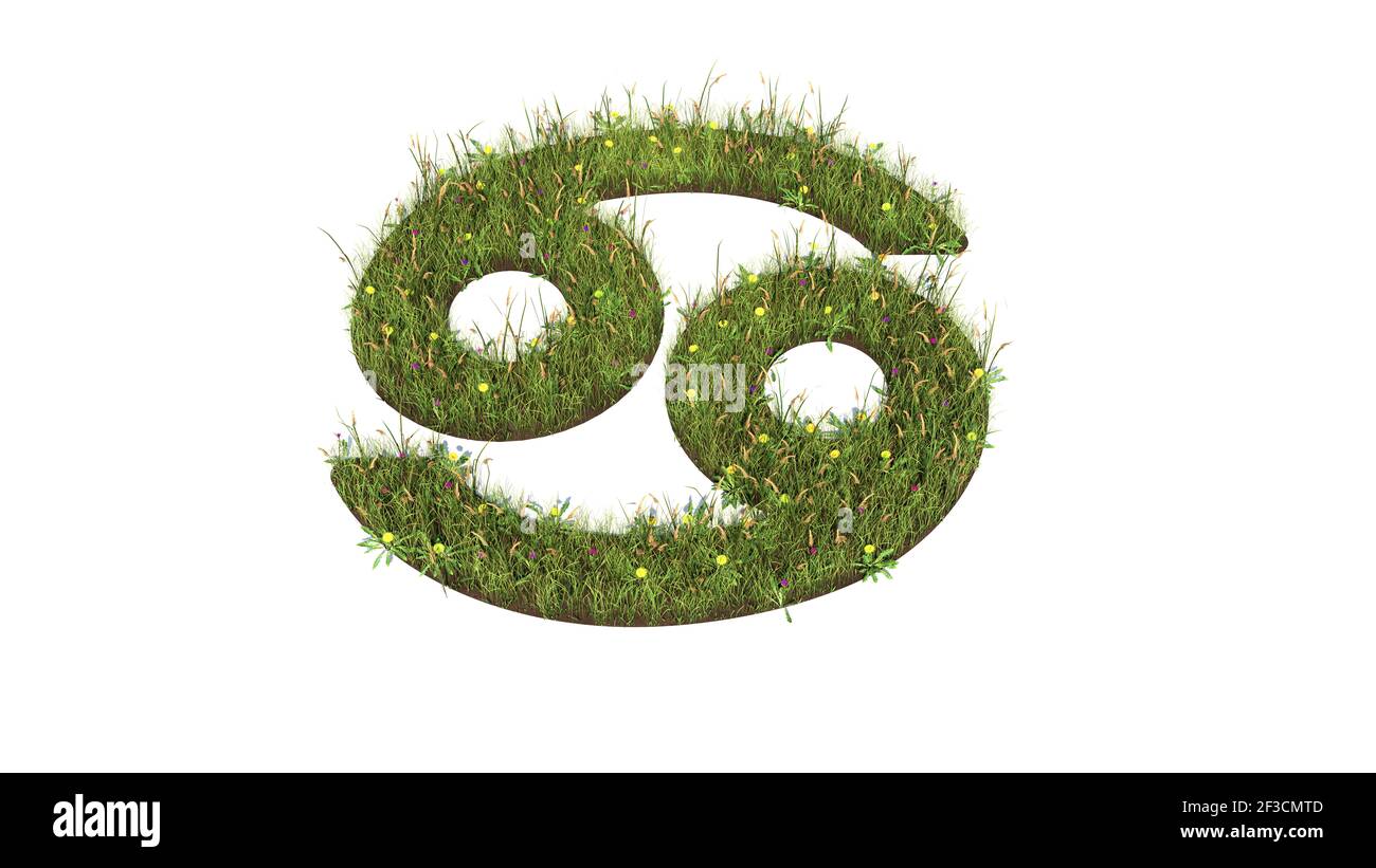3d rendered grass field with colorful flowers in shape of symbol of ...