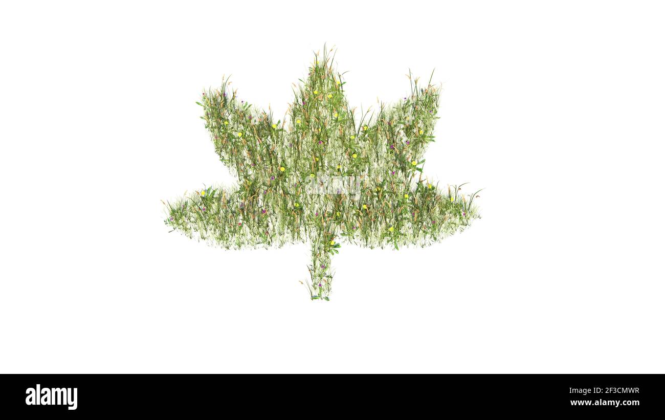 3d rendered grass field with colorful flowers in shape of symbol of ...