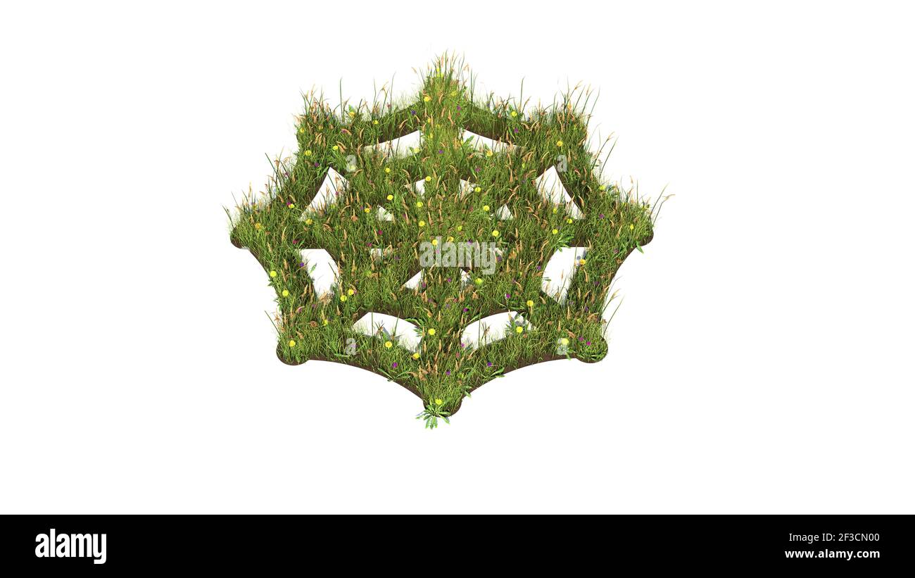 3d rendered grass field with colorful flowers in shape of symbol of ...