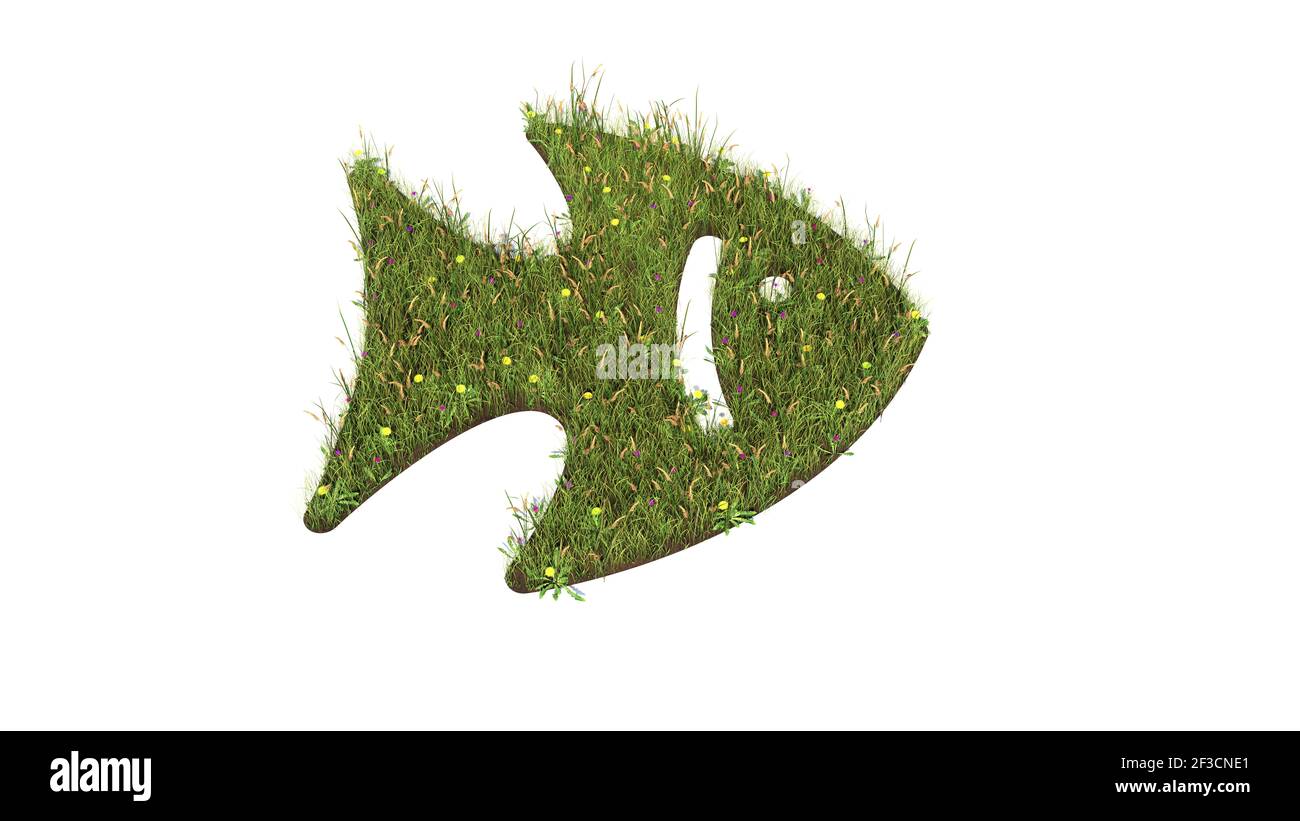 3d rendered grass field with colorful flowers in shape of symbol of sea ...