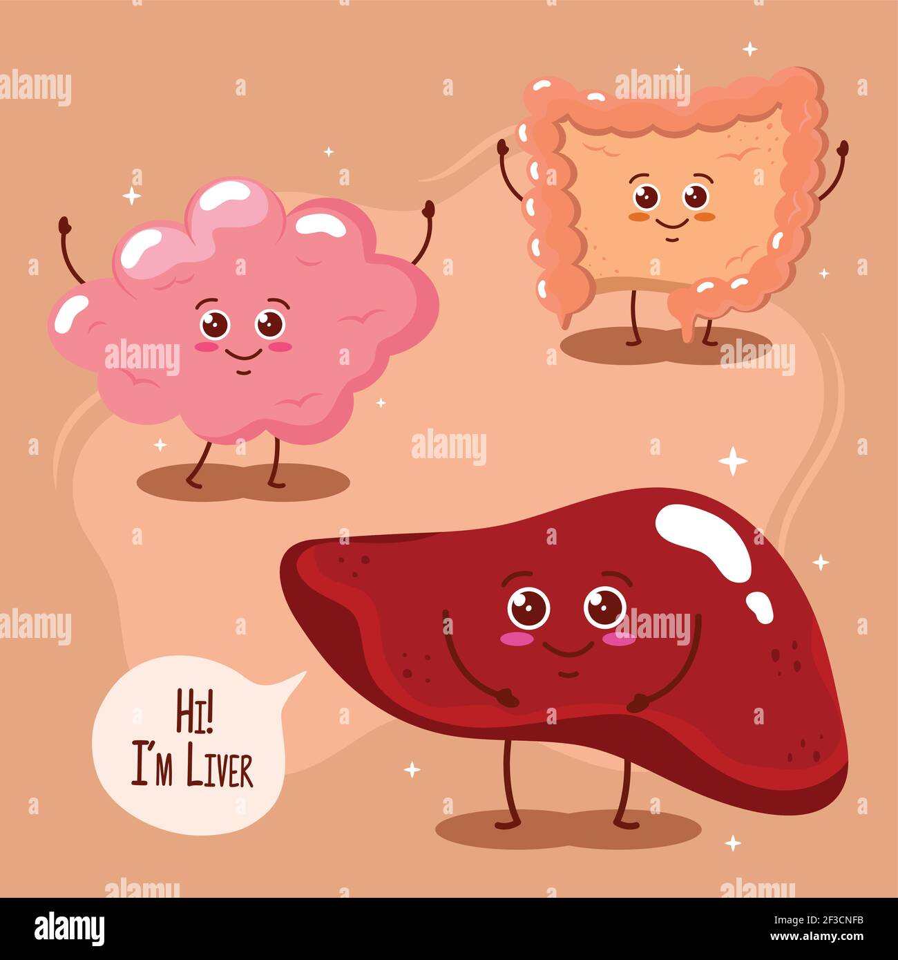 Human internal organs for kids Stock Vector Images - Alamy