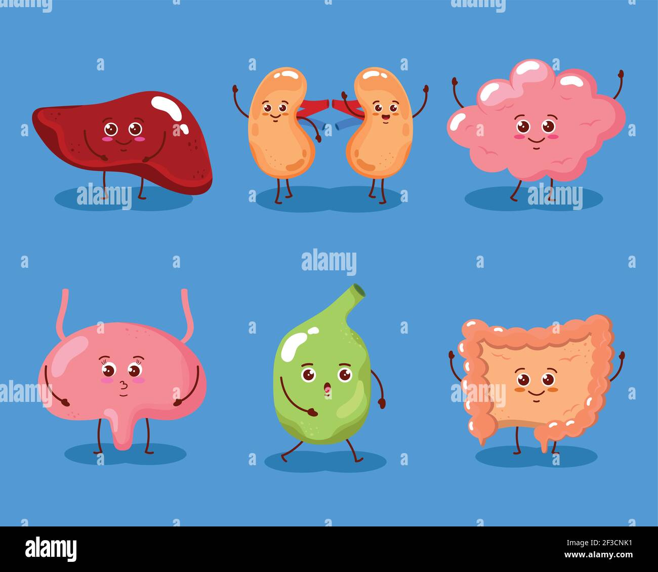 cute six organs Stock Vector Image & Art - Alamy