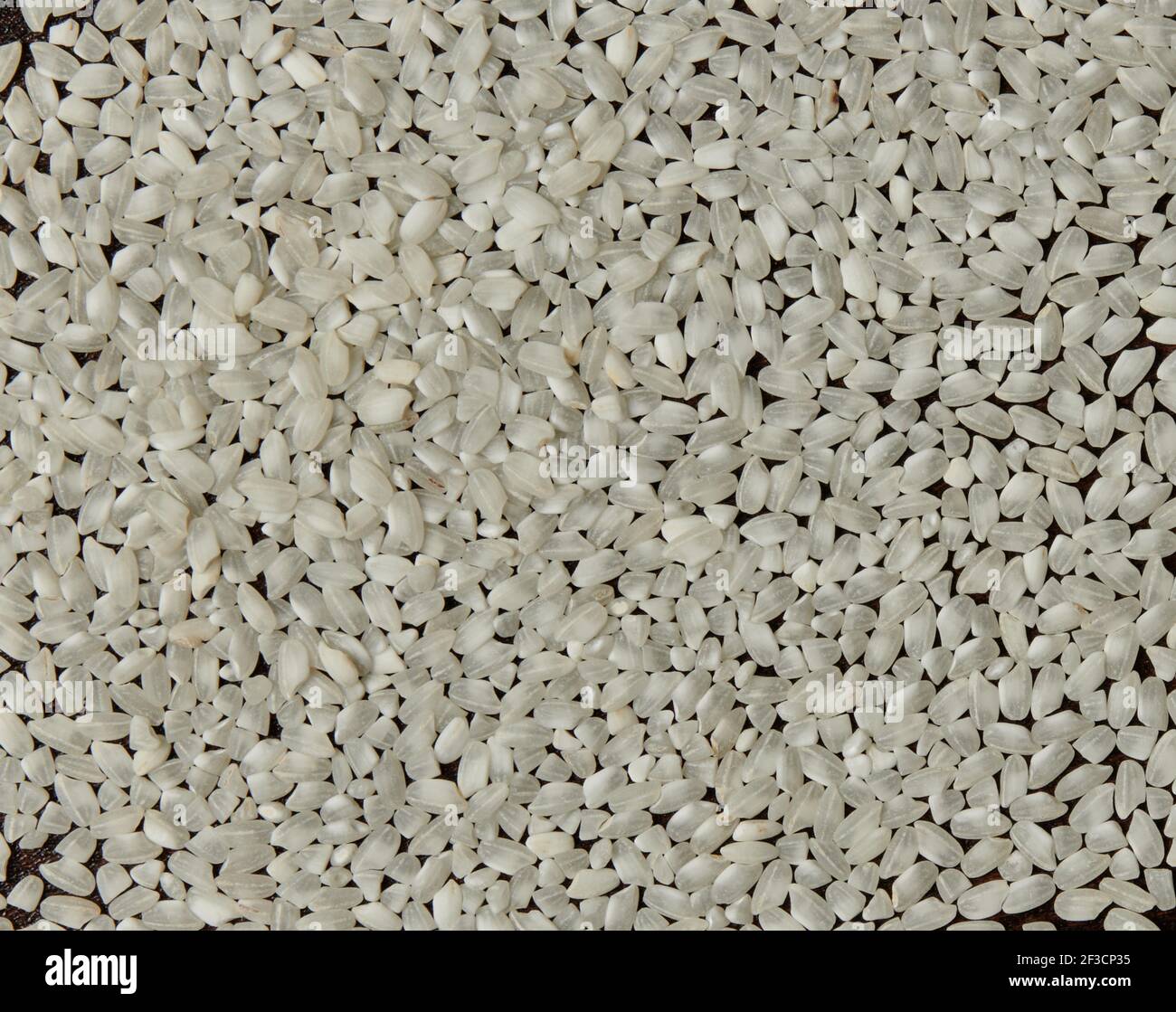 photo of white rice grains close up beautiful Stock Photo - Alamy