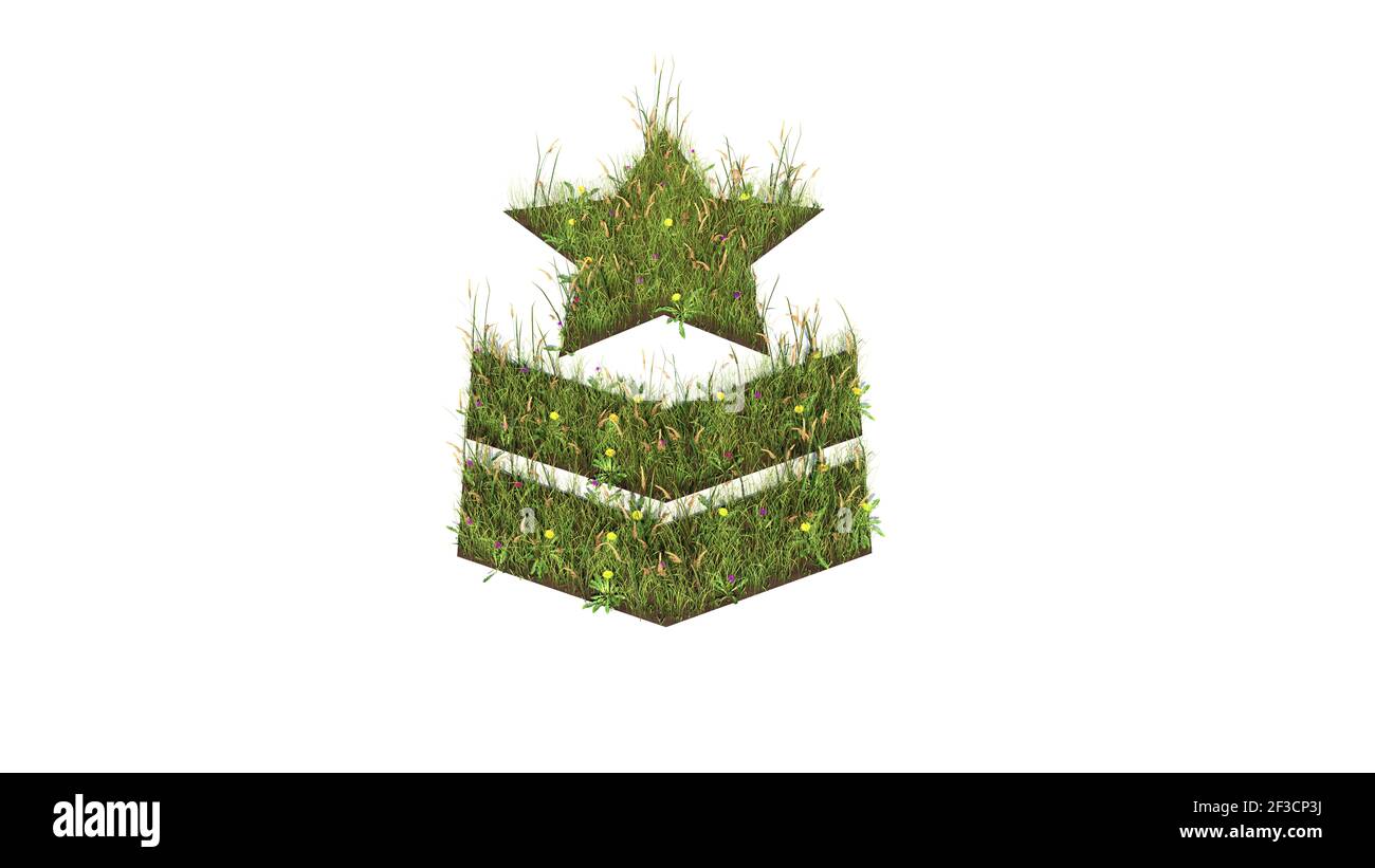 3d rendered grass field with colorful flowers in shape of symbol of ...