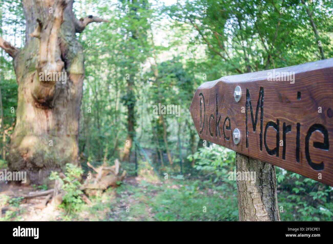 Fat mary hi-res stock photography and images - Alamy