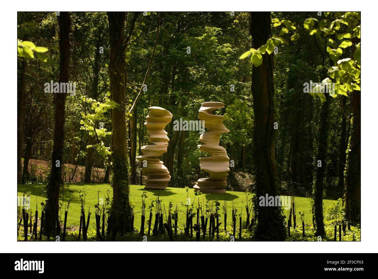 Tony cragg Cut Out Stock Images & Pictures - Alamy