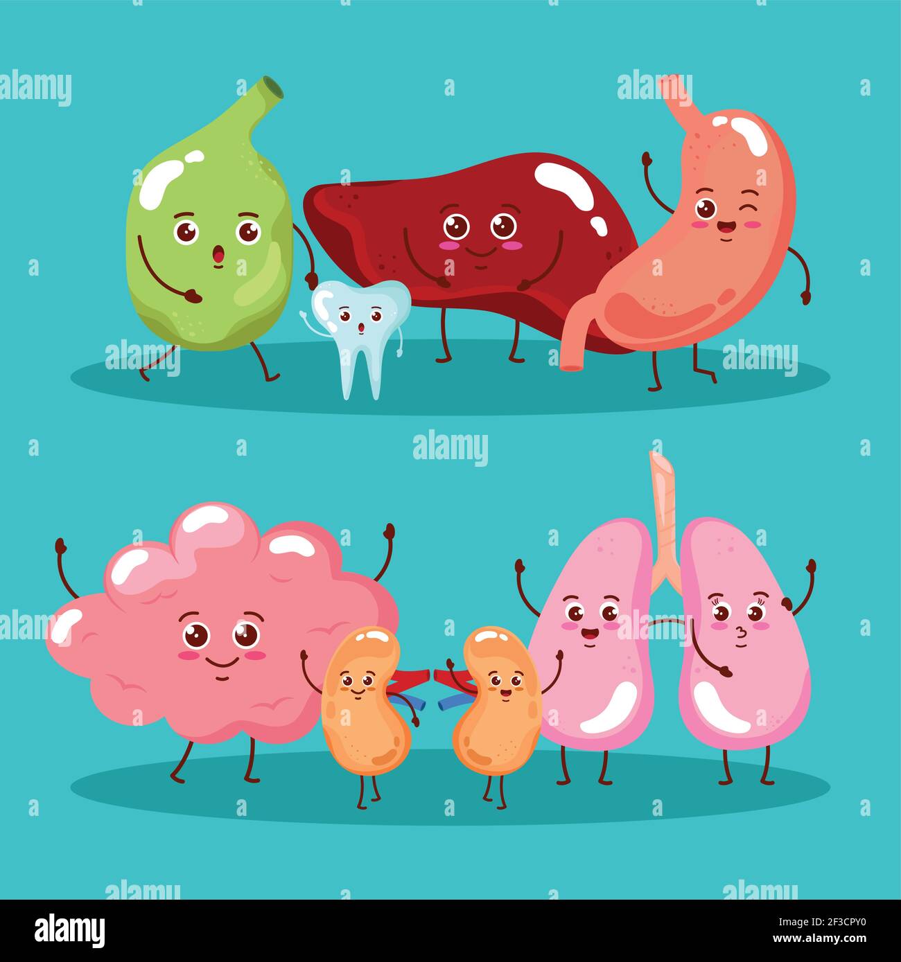 seven cute organs Stock Vector Image & Art - Alamy
