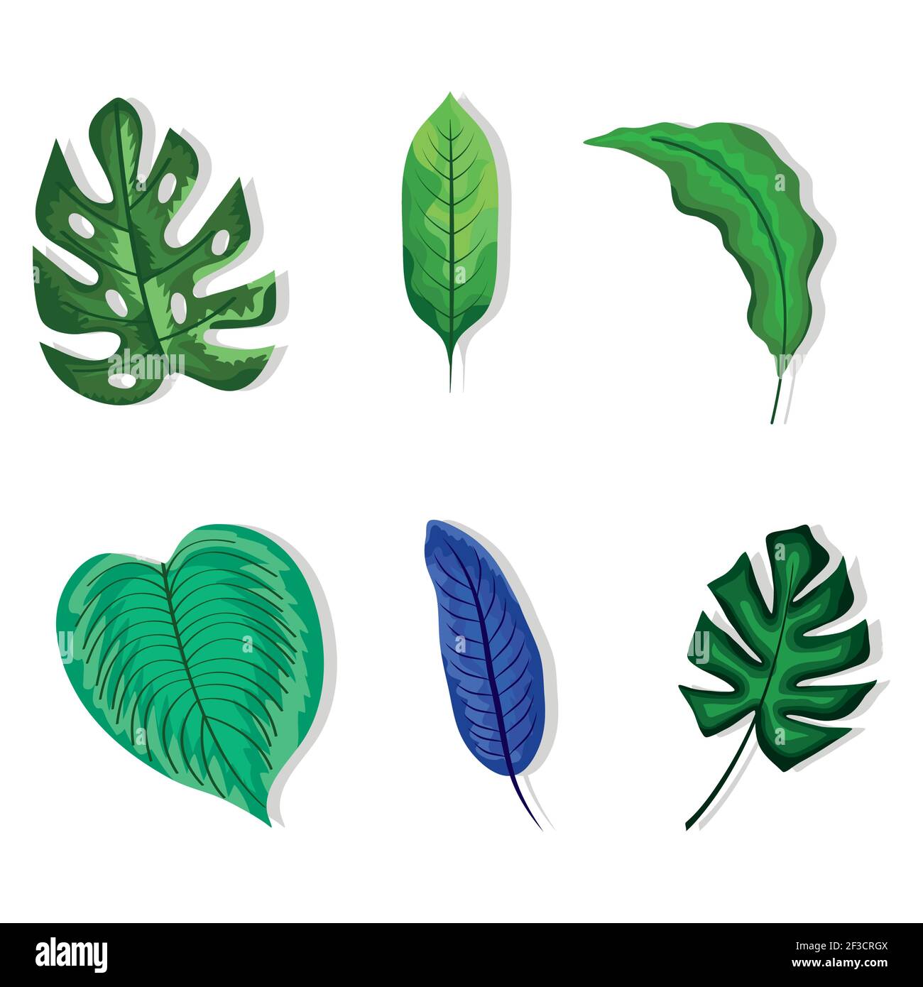 Six green leaves Stock Vector Images - Alamy