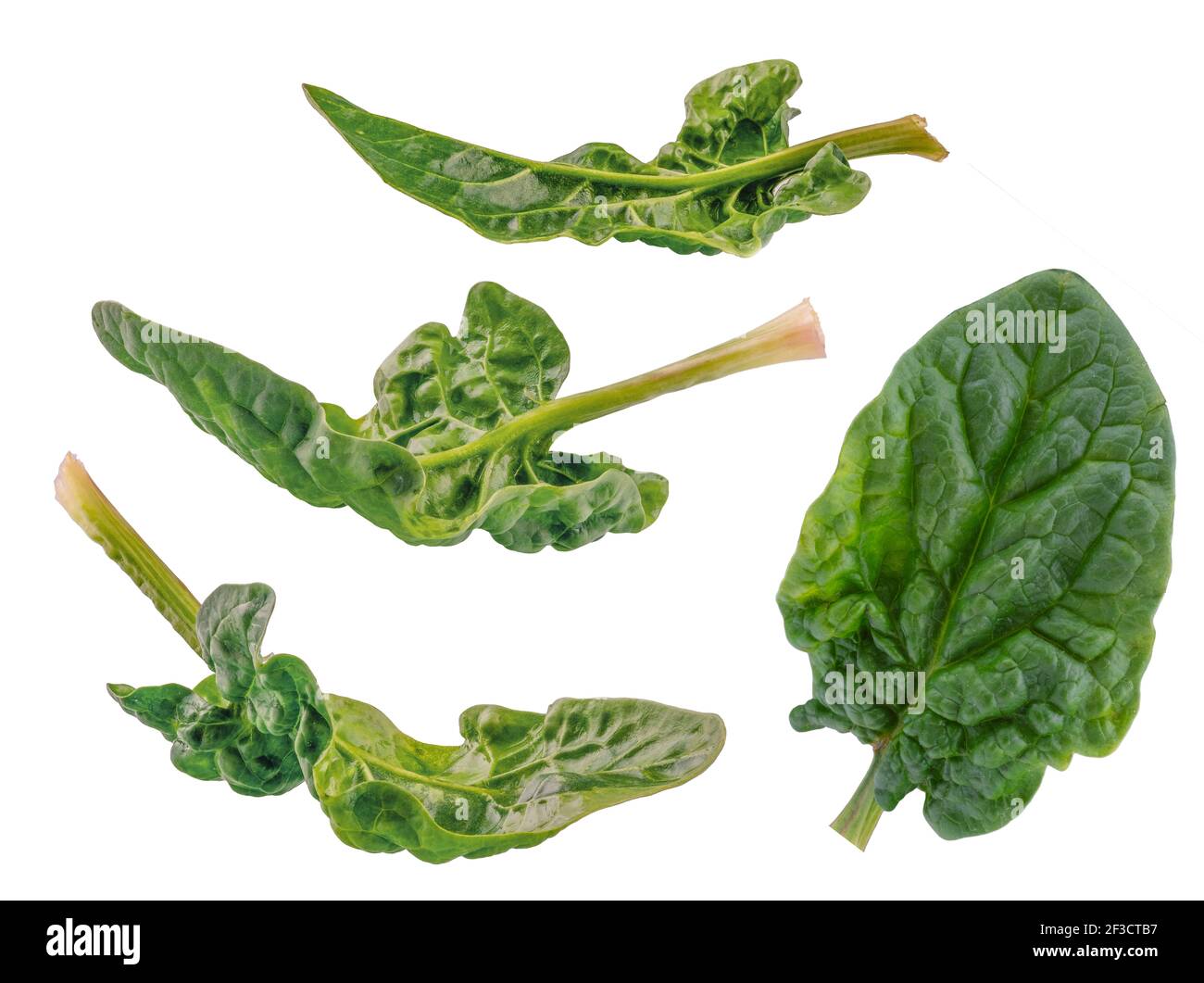 Different Spinach leaves isolated on white background Stock Photo - Alamy