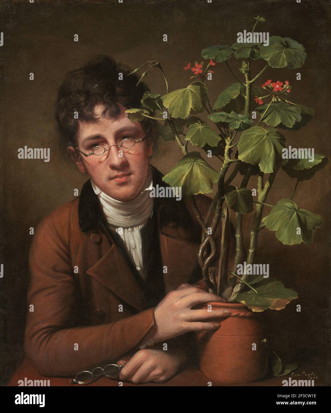 Rubens peale with geranium rembrandt painting art artist hi-res stock ...