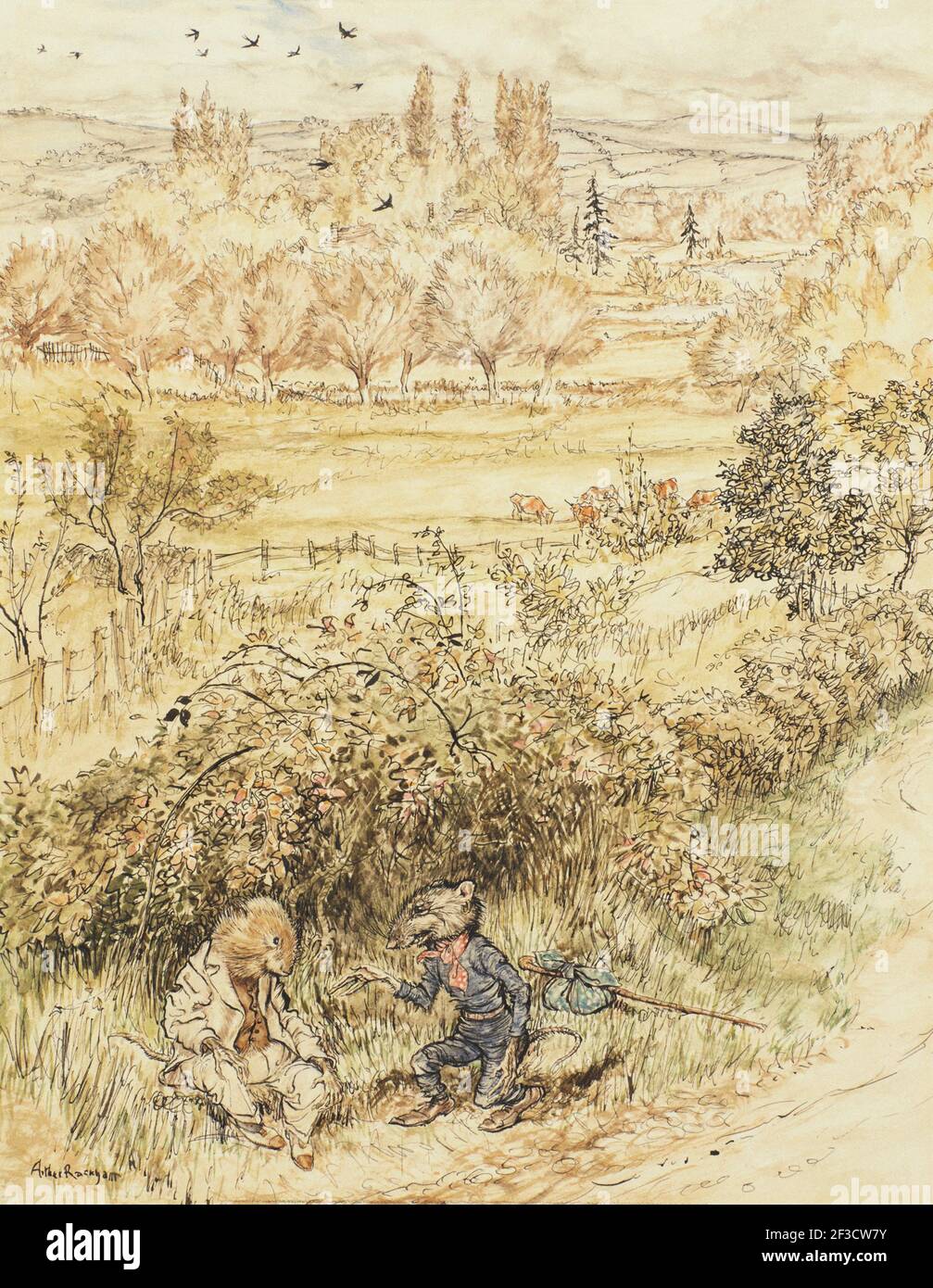 Arthur rackham wind in the willows hi-res stock photography and images ...