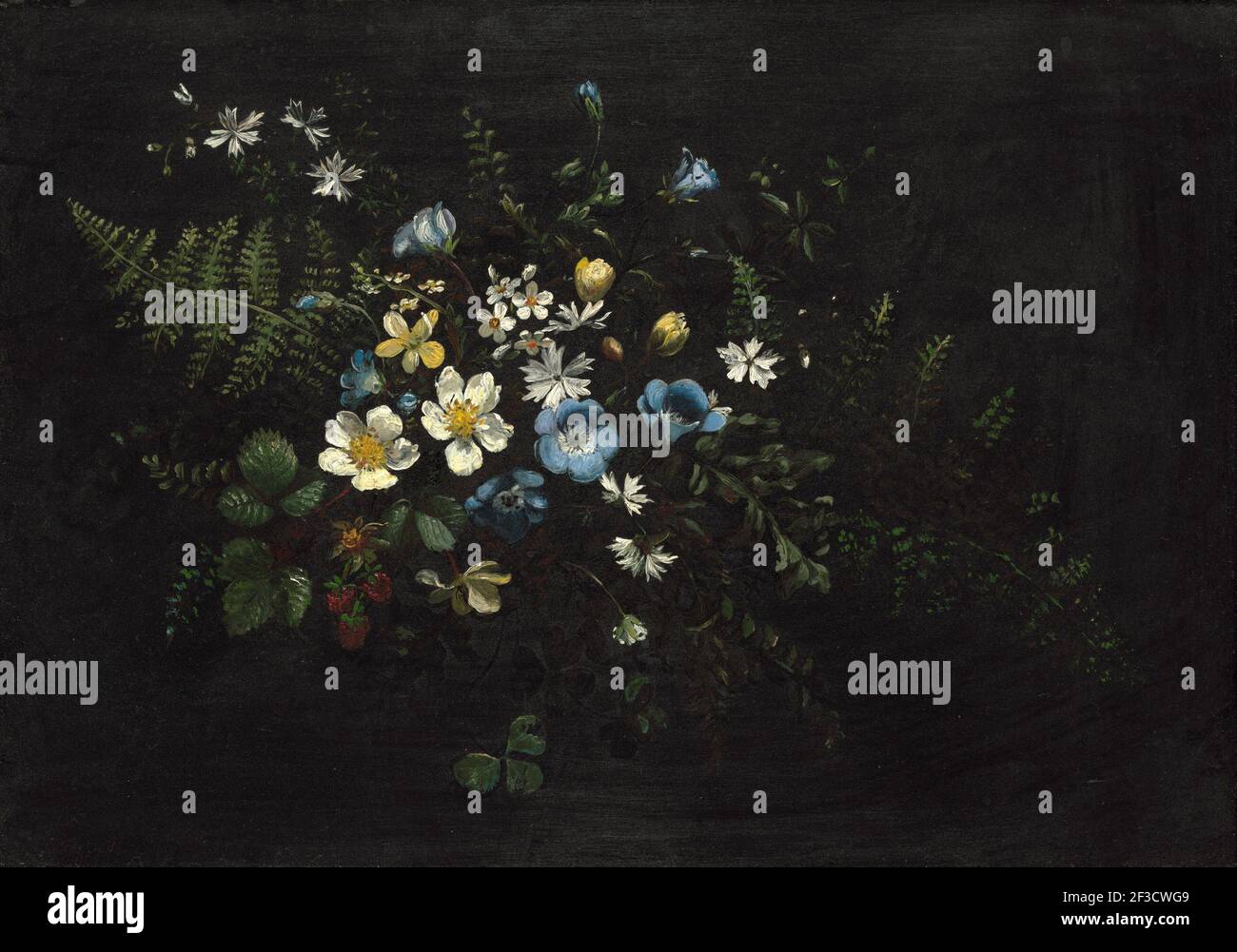 Spray of Flowers and Ferns, date unknown. [19th century] Stock Photo ...