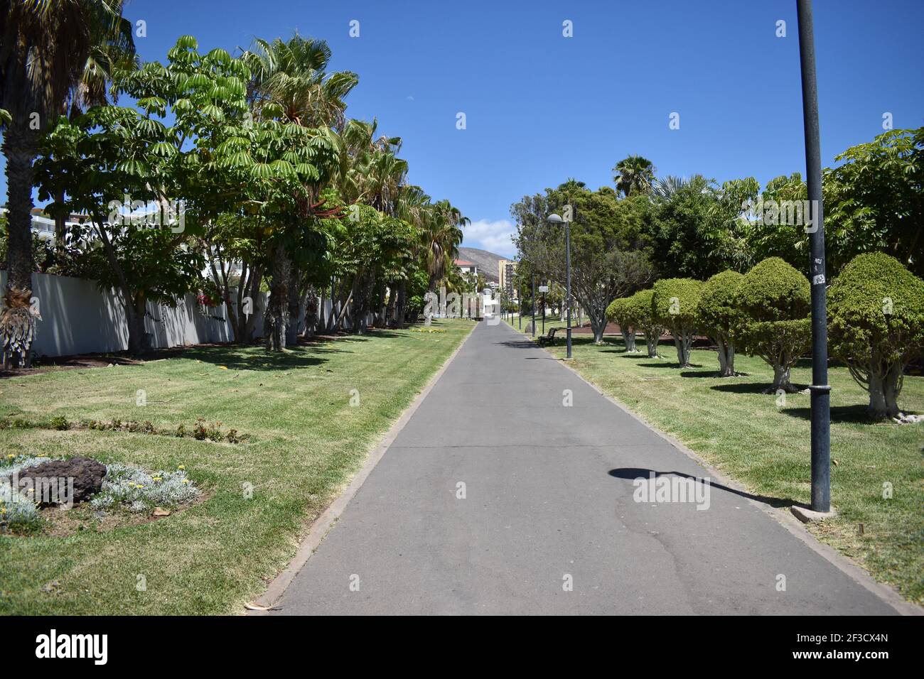 Tenerife train hi-res stock photography and images - Alamy