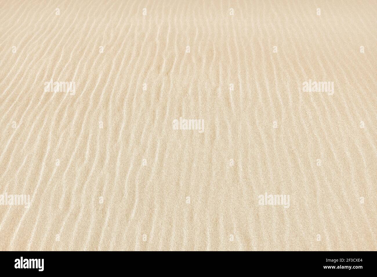 Abstract sand stripes texture made by sea waves on beach. Summer ...