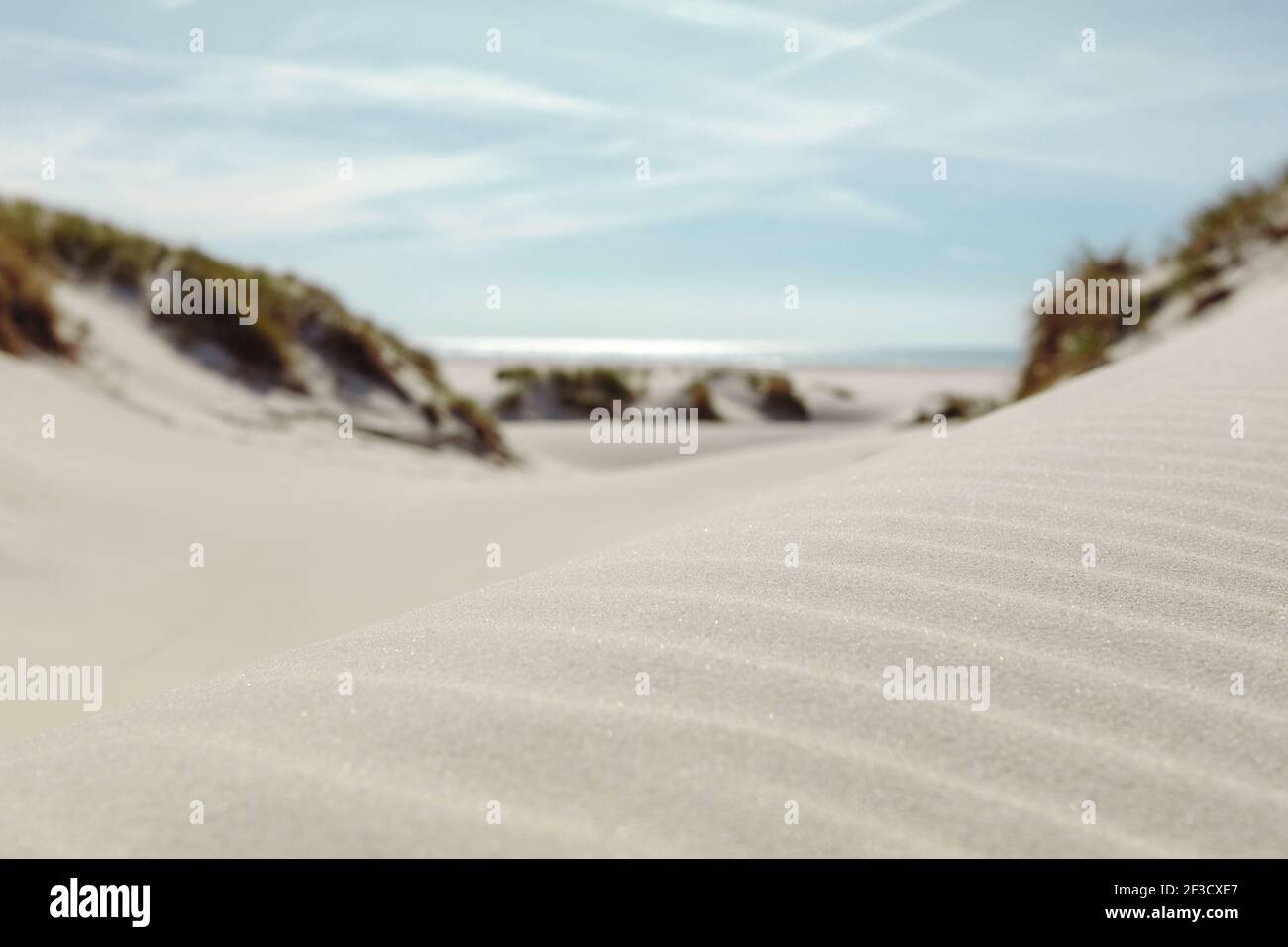 Fine green sand hi-res stock photography and images - Alamy