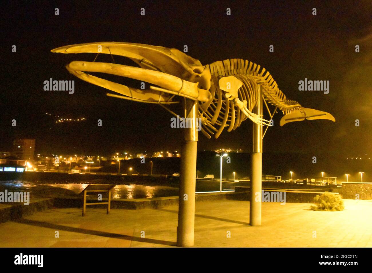 Fish bone architecture hi-res stock photography and images - Alamy
