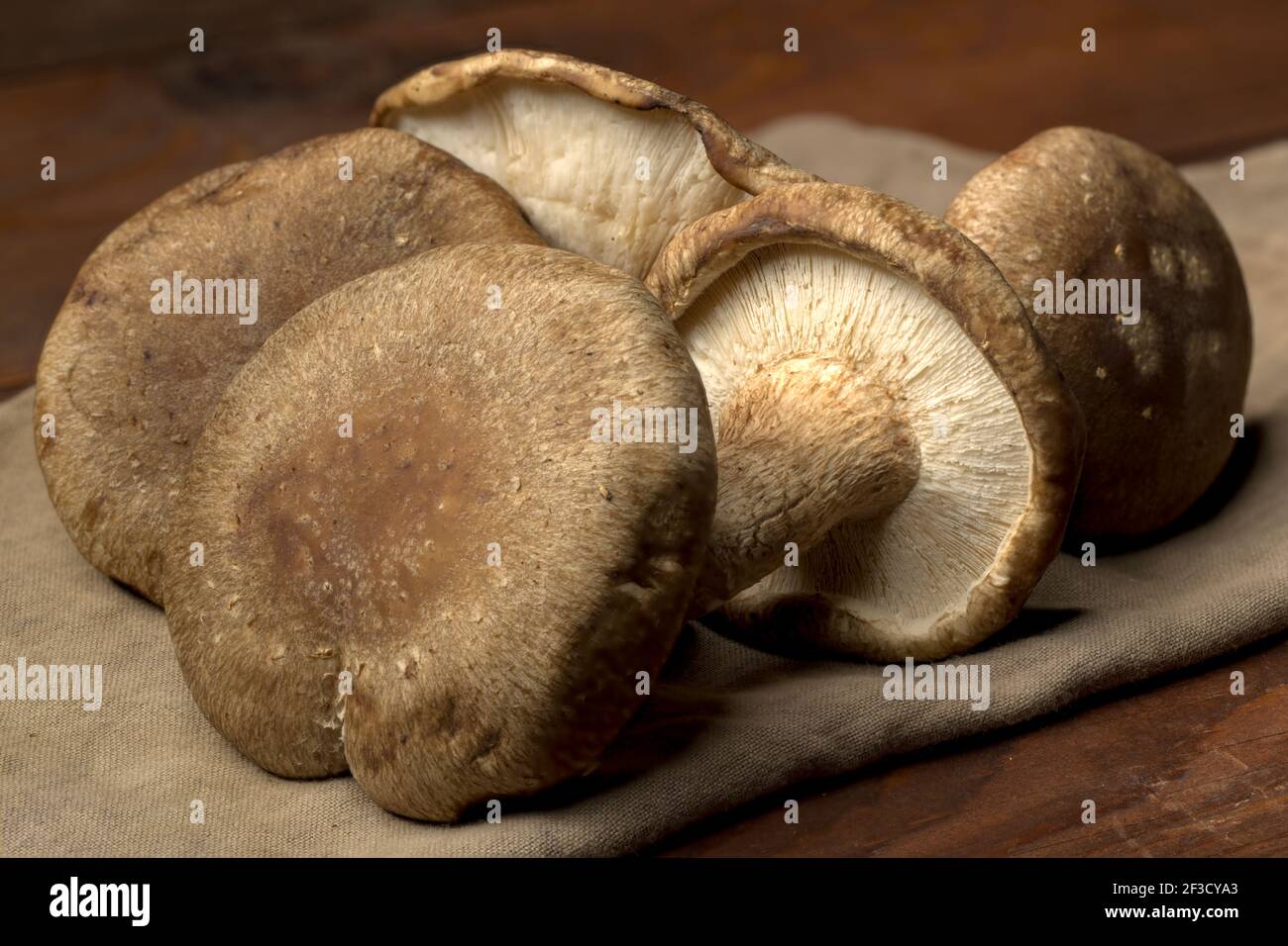 Shittake mushroom hi-res stock photography and images - Alamy