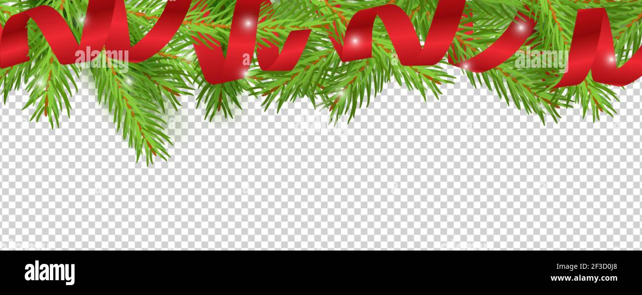 Christmas banner. Red ribbon, Christmas tree branches vector background ...