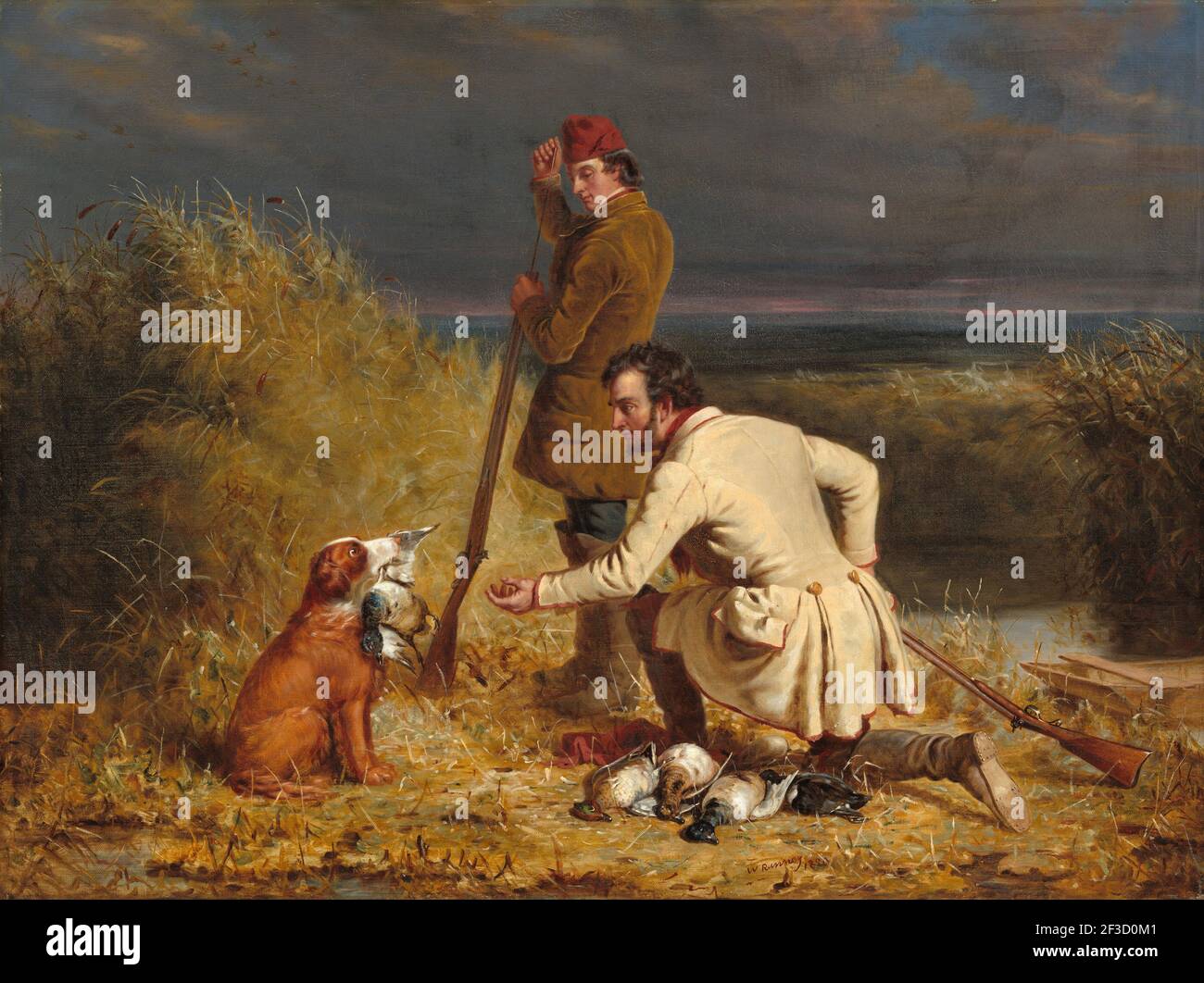 Canvasback painting hi-res stock photography and images - Alamy