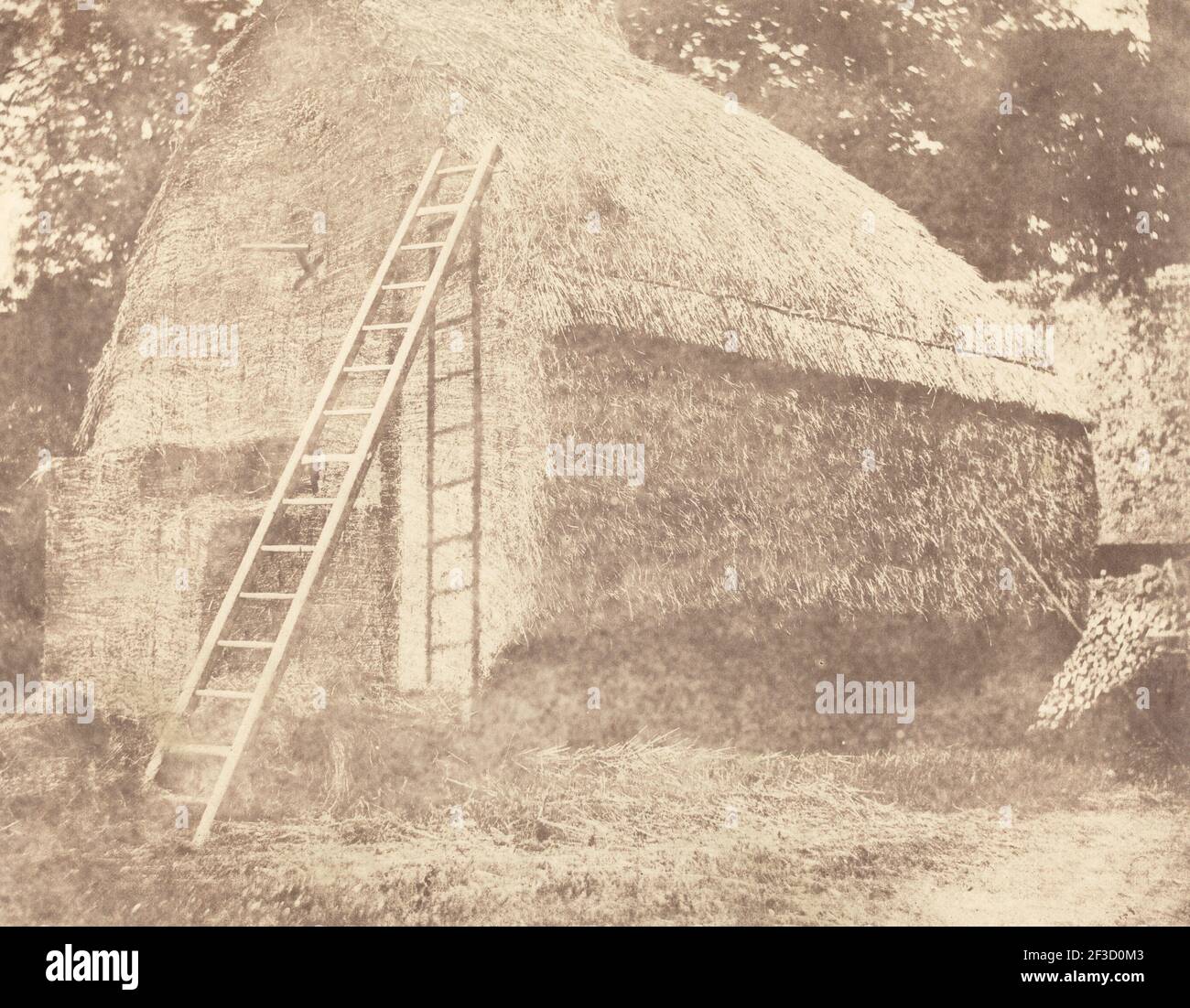 Henry fox talbot ladder hi-res stock photography and images - Alamy