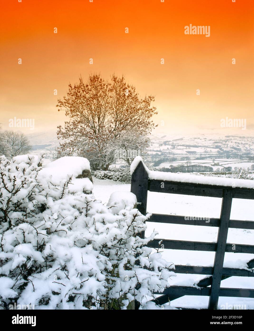 snow scene, Cumbria, UK Stock Photo - Alamy