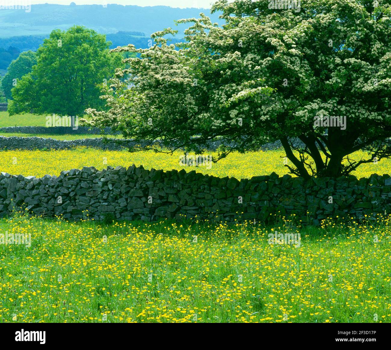 Rural dry meadows hi-res stock photography and images - Alamy