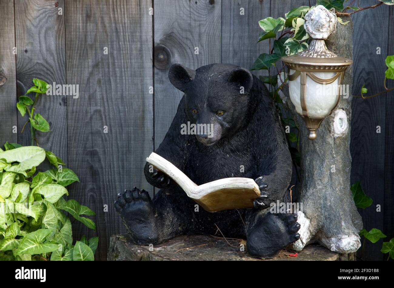Funny Black Bear Statue with Lamp in Front of Wood Wall Horizontal ...