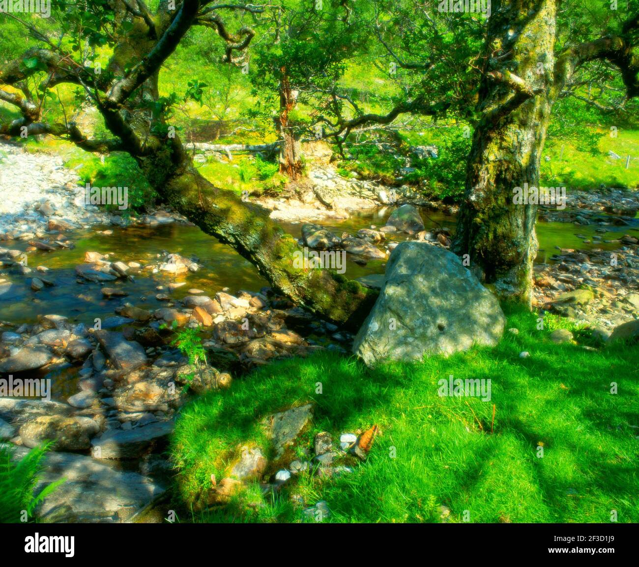 Summer river hi-res stock photography and images - Alamy
