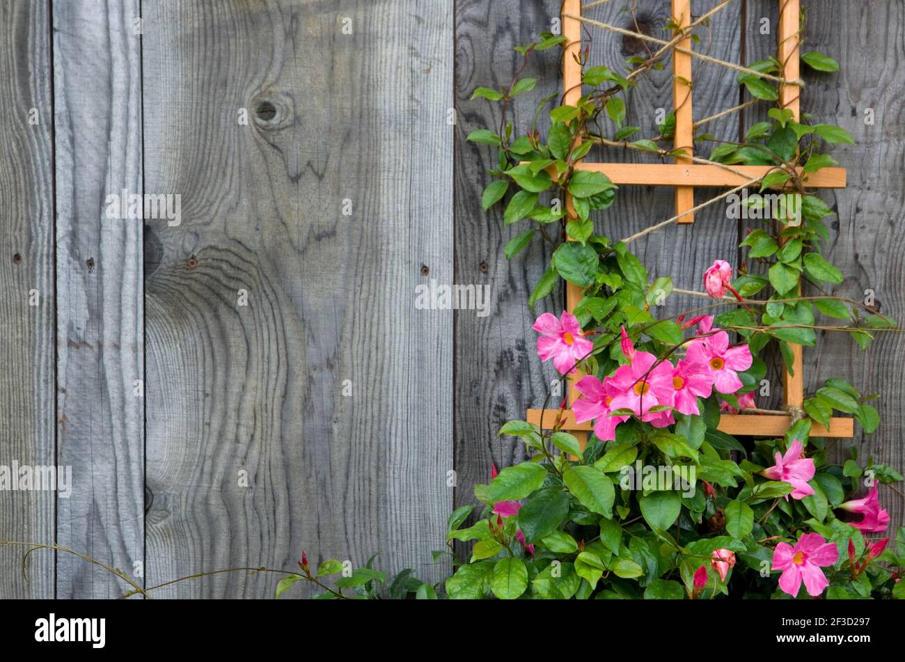 Grey barn hi-res stock photography and images - Alamy