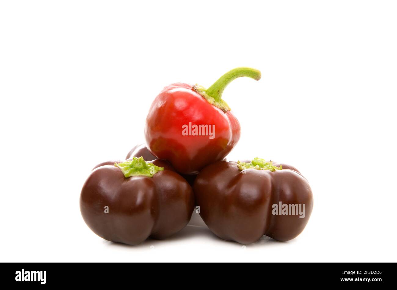 Beautiful Fresh from the Garden Purple and Red Peppers Isolated on ...