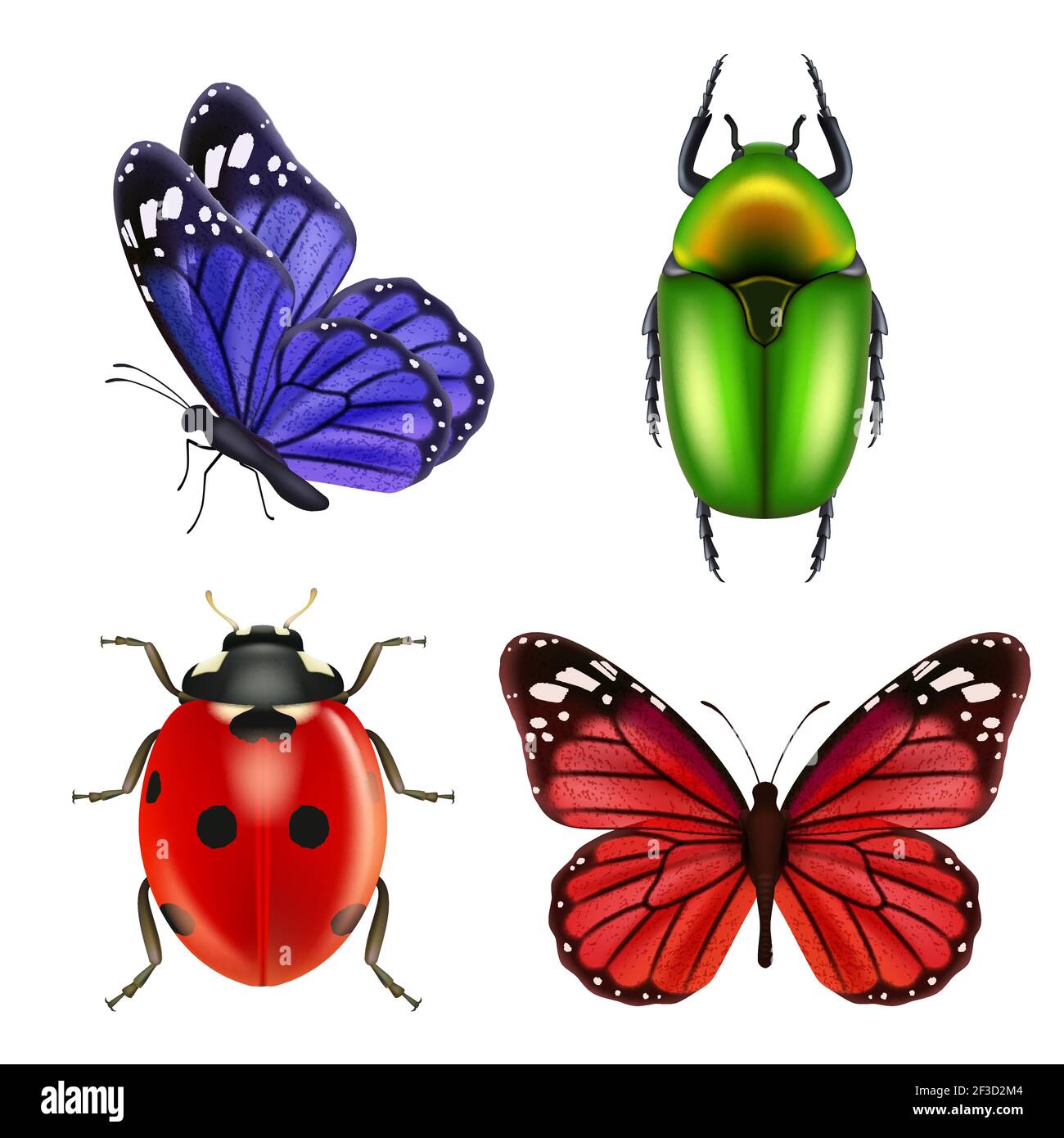 Realistic insects. Butterfly bugs ladybird ant vector collection of ...