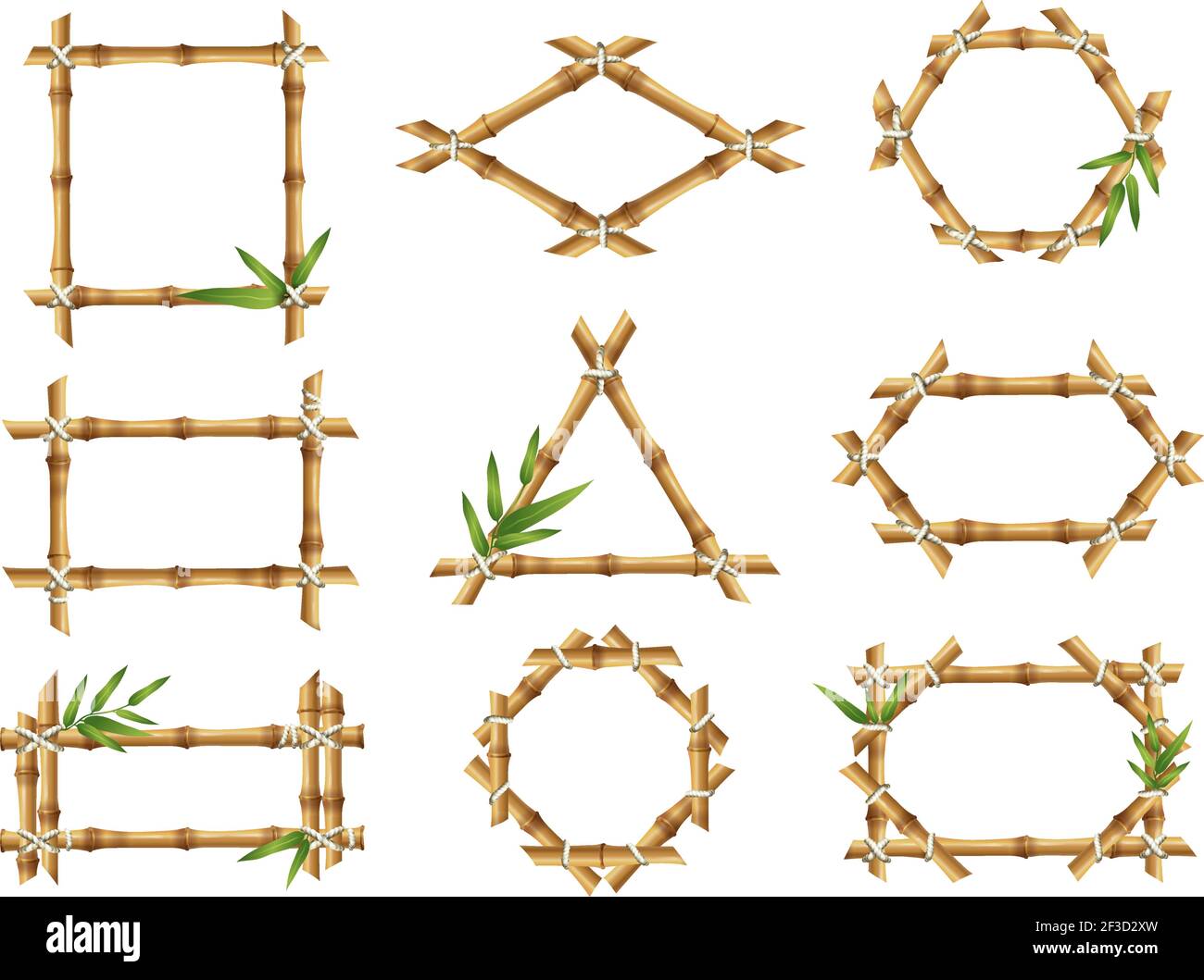 Bamboo frames. Geometric forms of nature bamboo rustic plants tropical ...