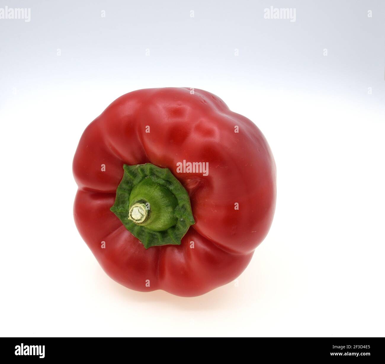 Bell pepper plants hi-res stock photography and images - Alamy