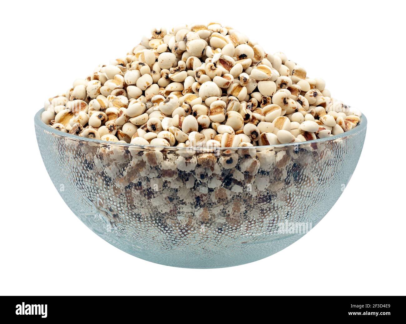 Jobs tears seeds hi-res stock photography and images - Alamy