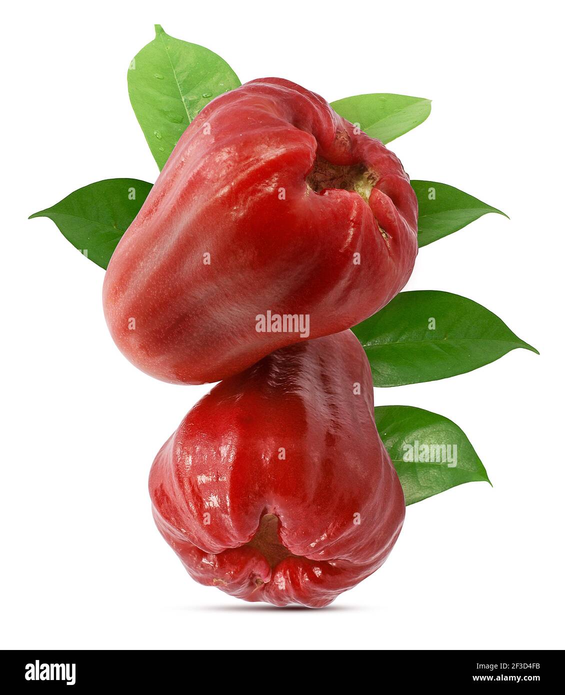 Rose apple isolated on white background Stock Photo - Alamy
