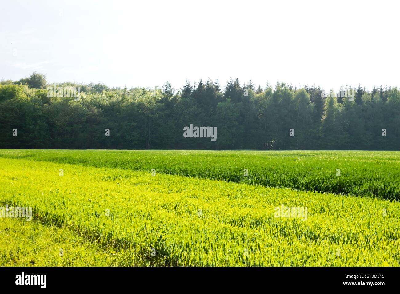 Springtime countryside hi-res stock photography and images - Alamy