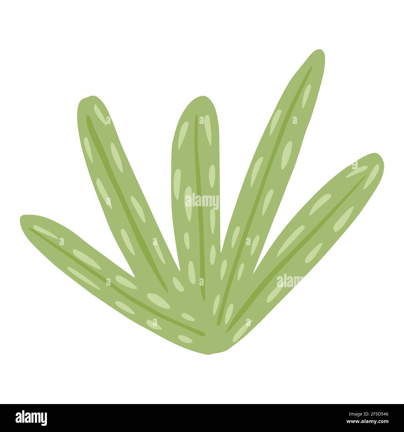 Codium seaweed Stock Vector Images - Alamy