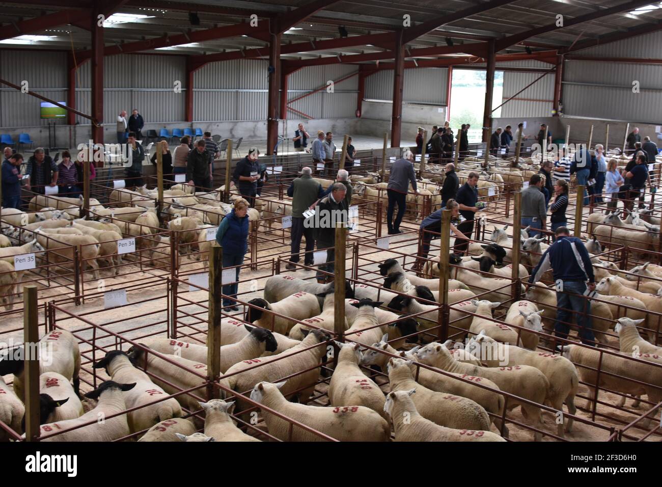 Logie Durno on farm sale, Insch Aberdeenshire Stock Photo - Alamy