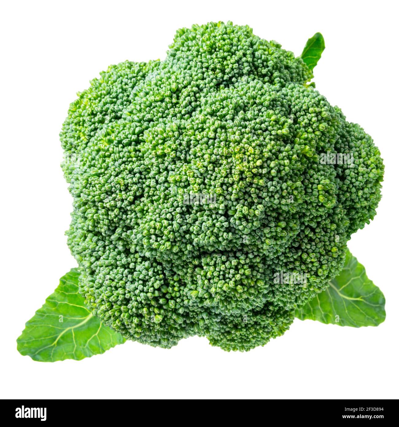top view of fresh green broccoli isolated on white background Stock ...