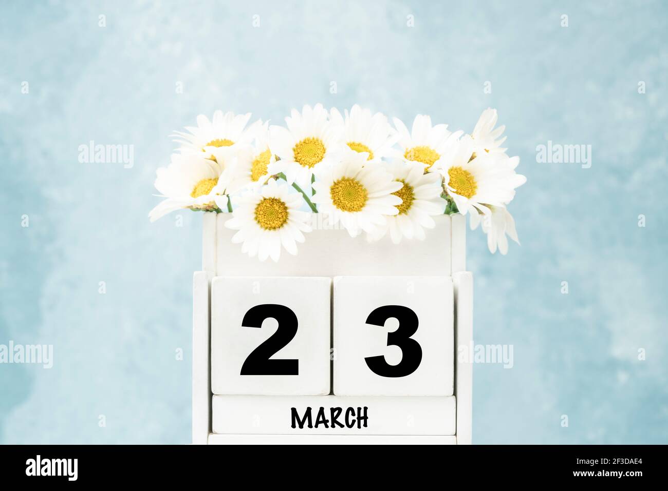White cube calendar for March with daisy flowers over blue background ...