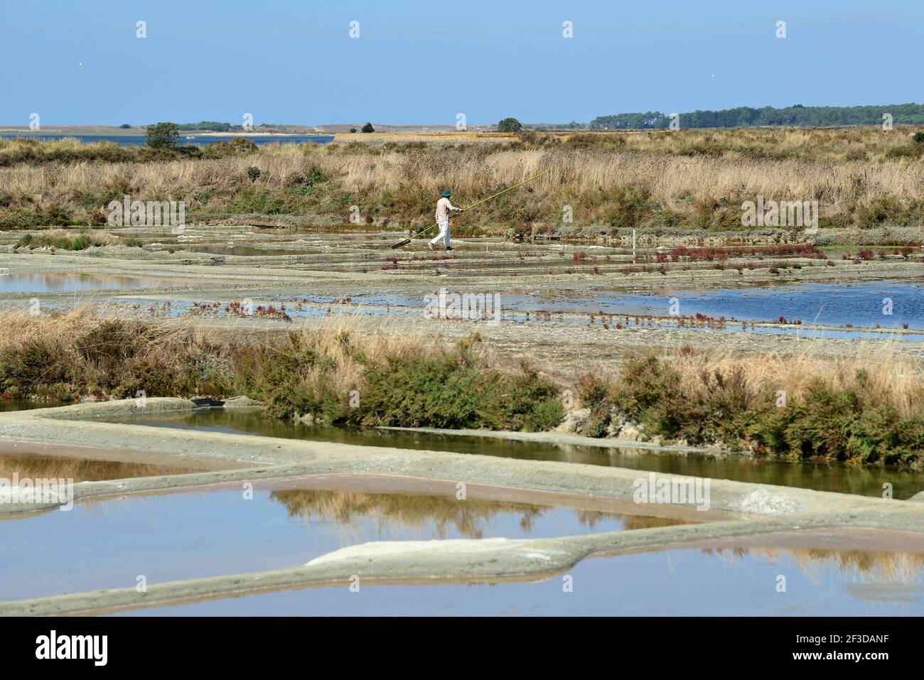 Salt marsh hi-res stock photography and images - Alamy