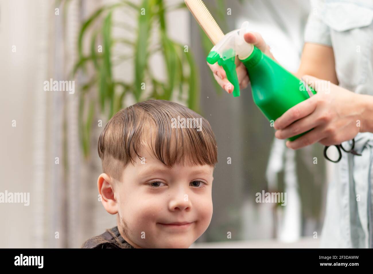 the female hand of a hairdresser sprays water from a green spray on the ...