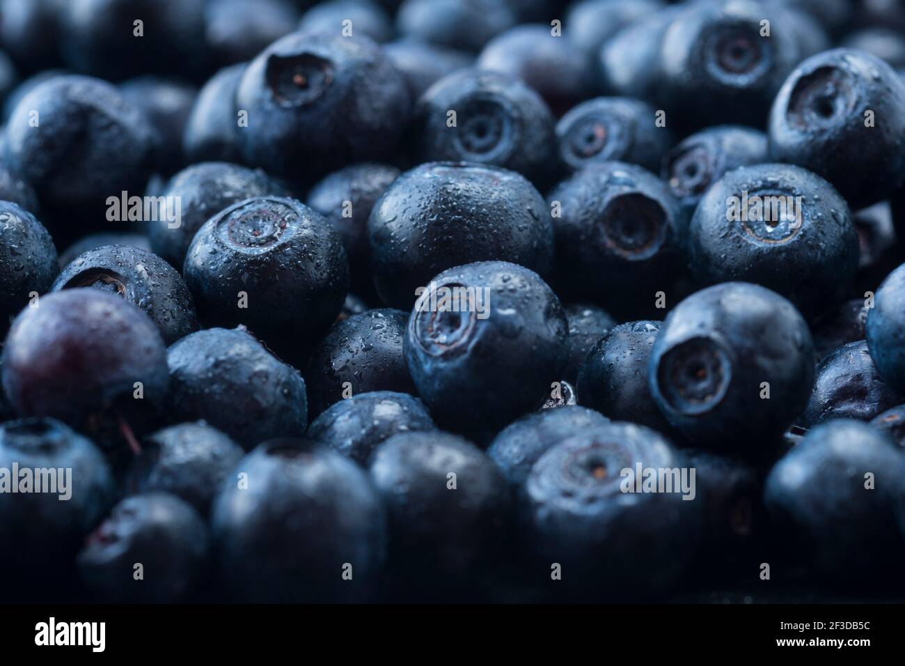 Fresh ripe blueberries with drops of dew. Macro photo. Fresh blueberry ...