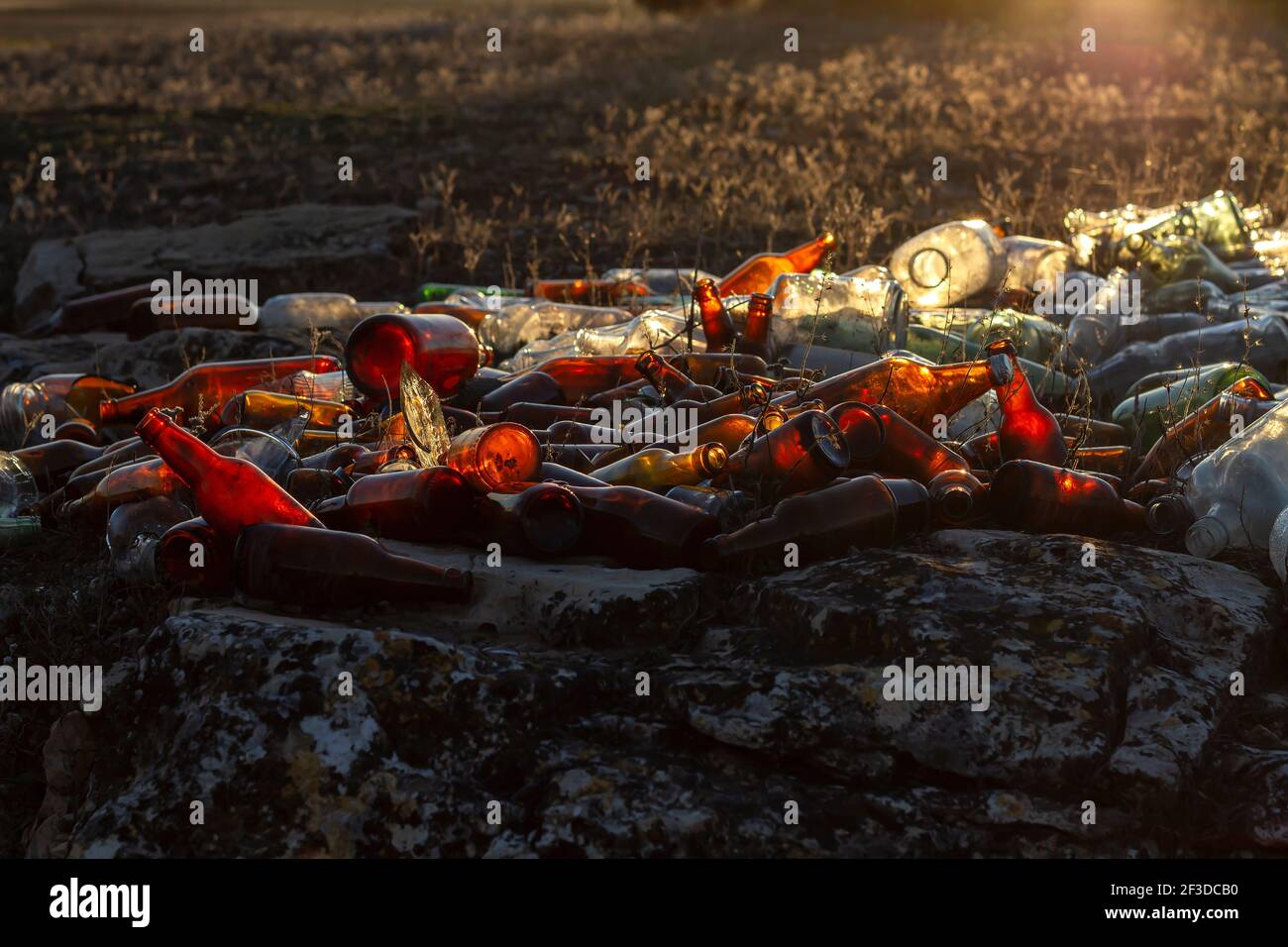 Alcoholic drinks empty glass bottles litter in the countryside Stock ...