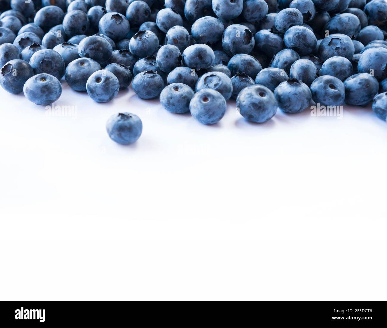 Fresh ripe blueberries with drops of dew. Macro photo. Fresh blueberry ...