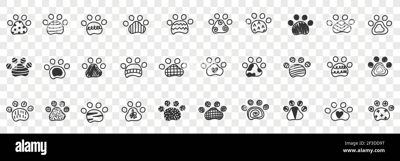 Animal Foot Prints Patterns