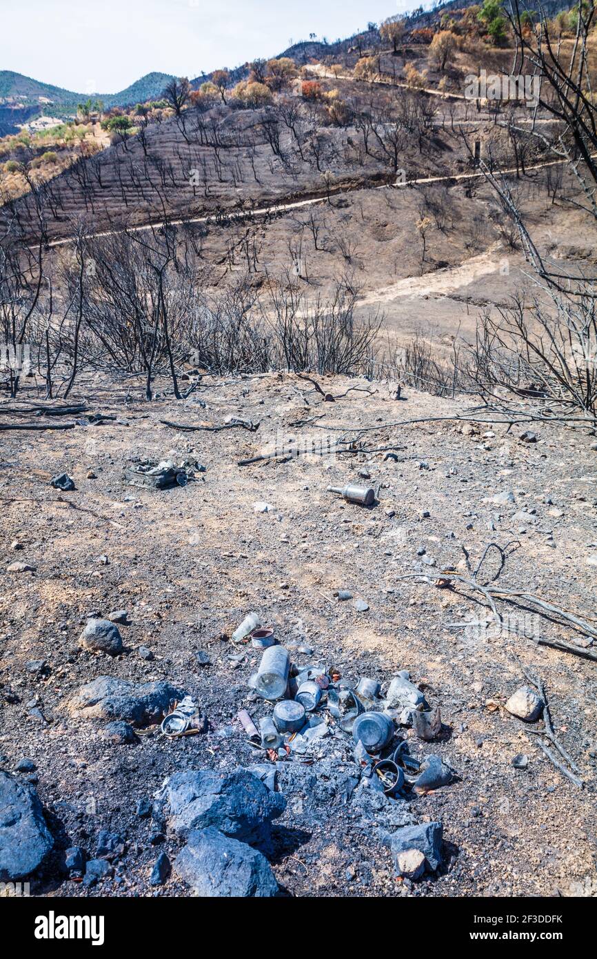 Fire Damage of forest and agricultural landscape Stock Photo - Alamy