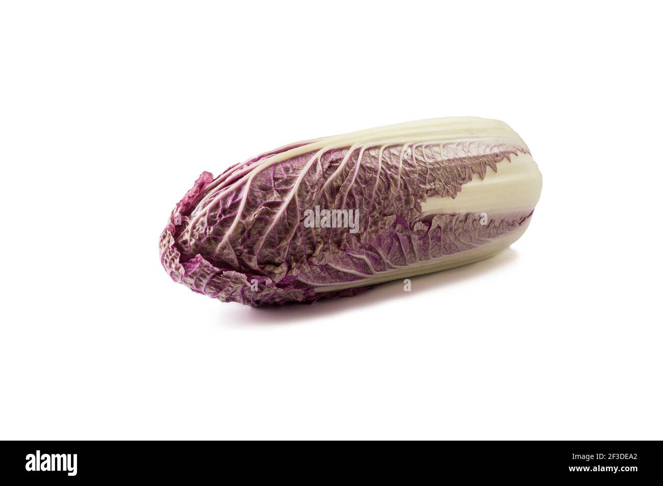 Purple napa cabbage. Red Napa, Chinese Cabbage on white. Purple chinese ...