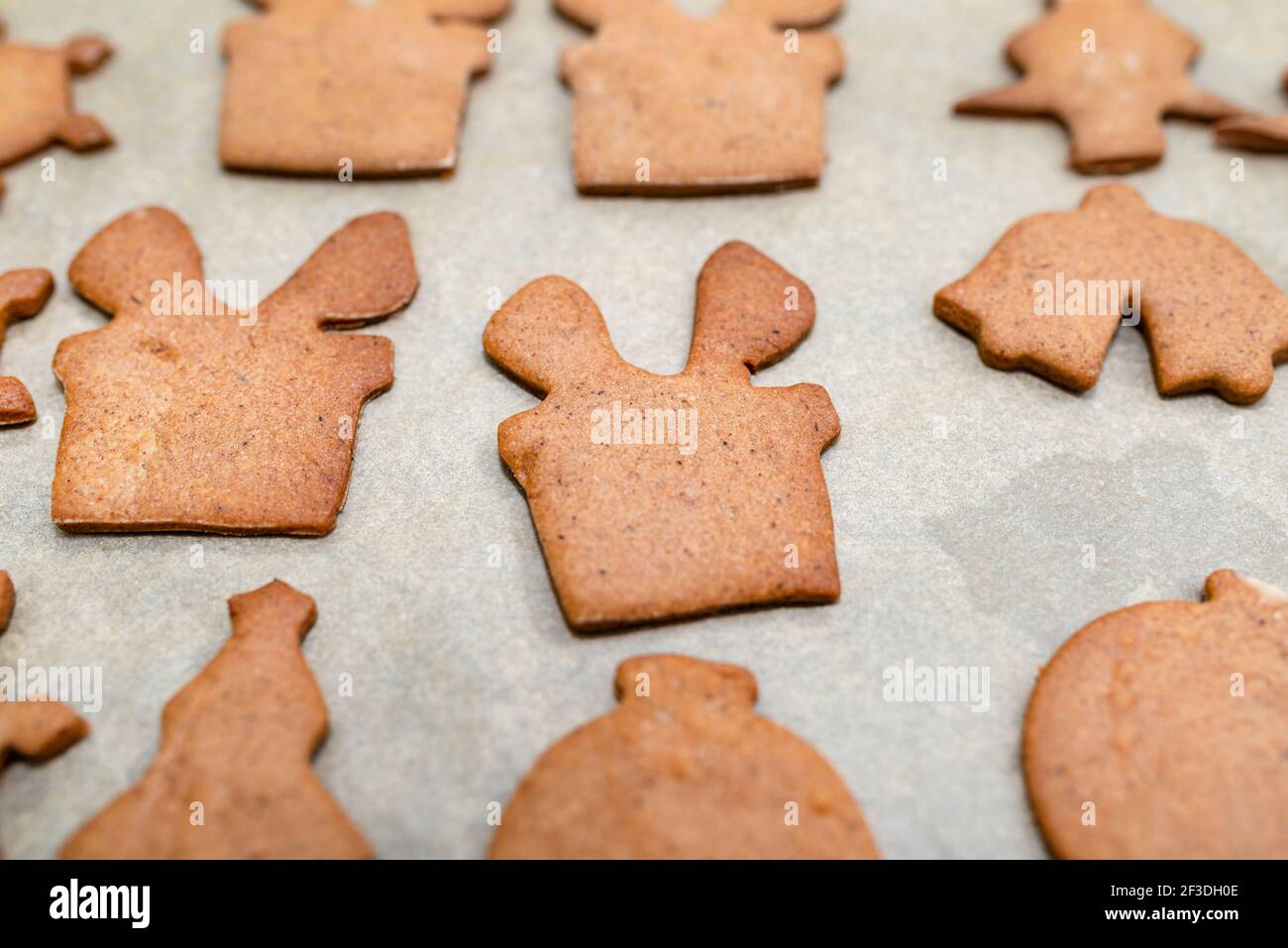 Baked gingerbread cookies in various shapes without decorations, lying ...